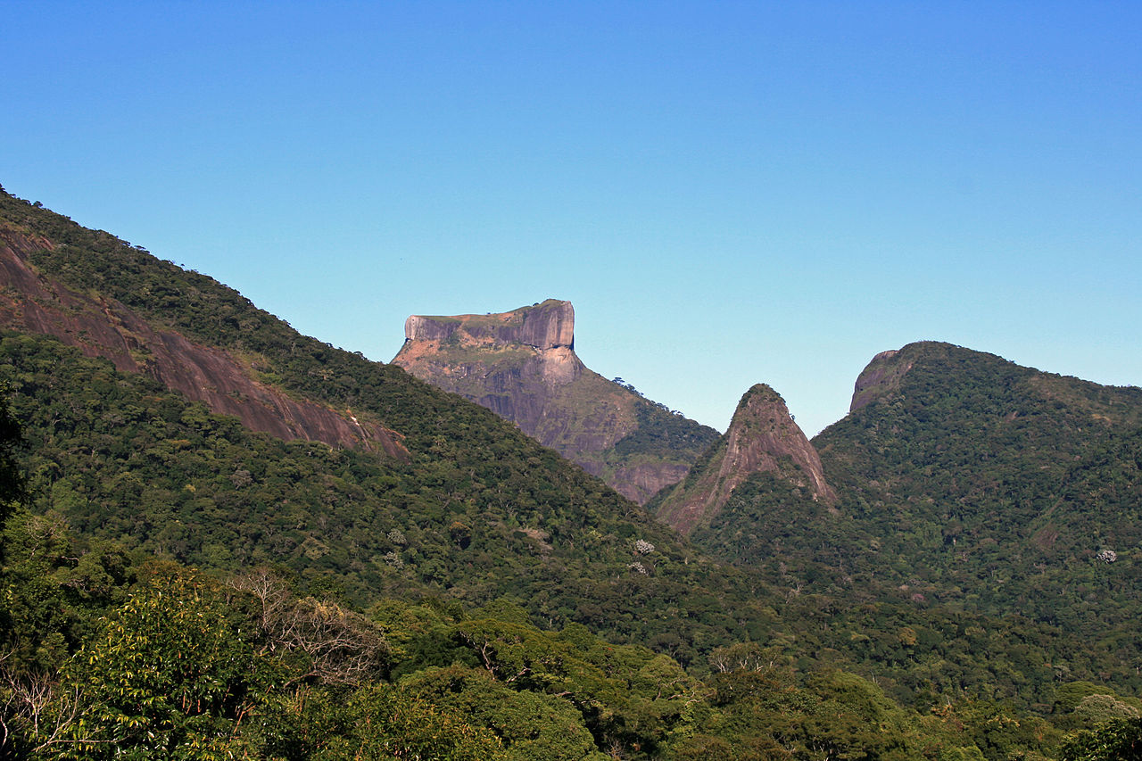 Parque Nacional da Tijuca - Trilhas & Rumos