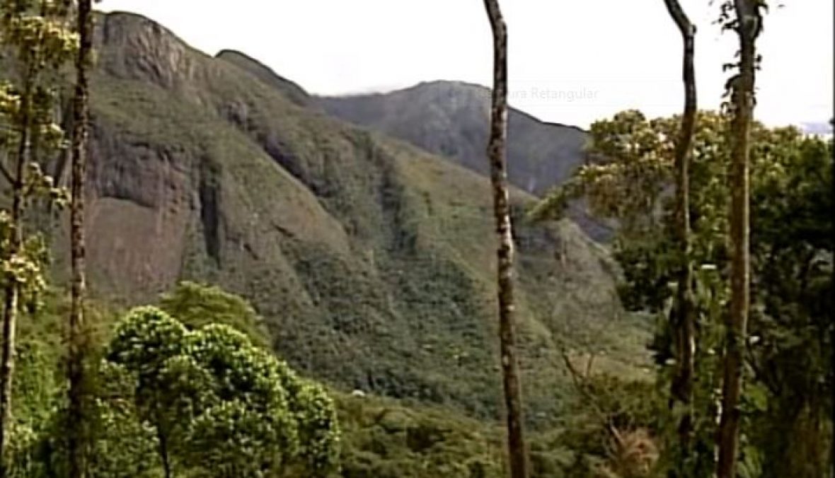 Pico Da Bandeira - Parque Nacional do Caparaó - MG/ES - Trilhas & Rumos