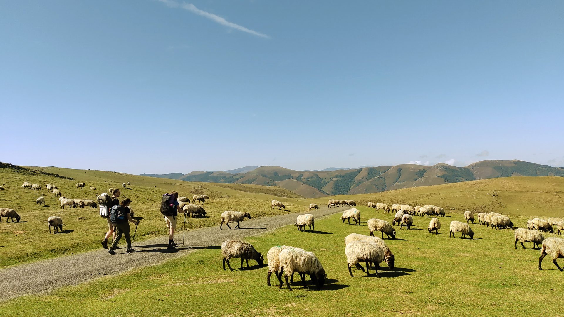 Conheça a “Transpirenaica”, a difícil e espetacular Travessia dos ...